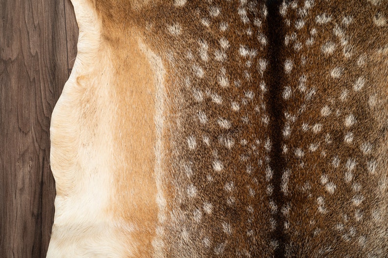 European Fallow Deer Hide - Etsy