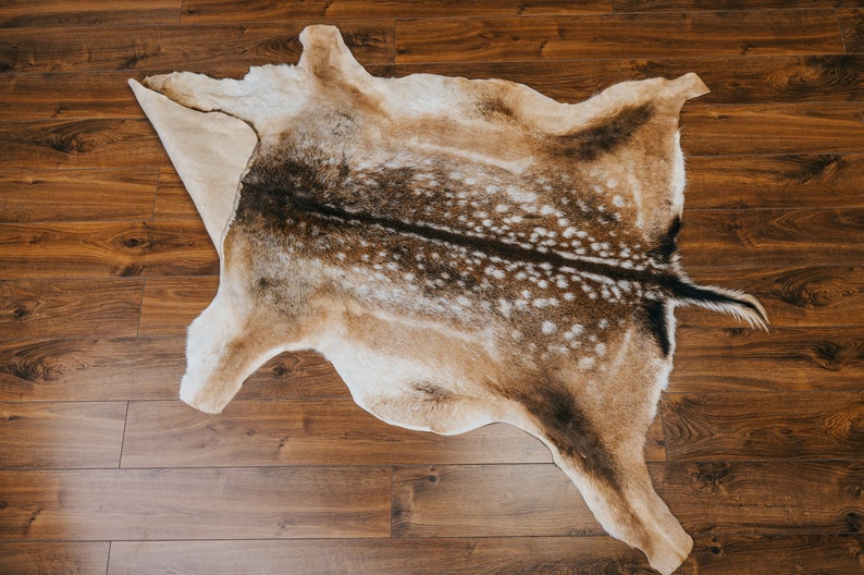 European Fallow Deer Hide - Etsy