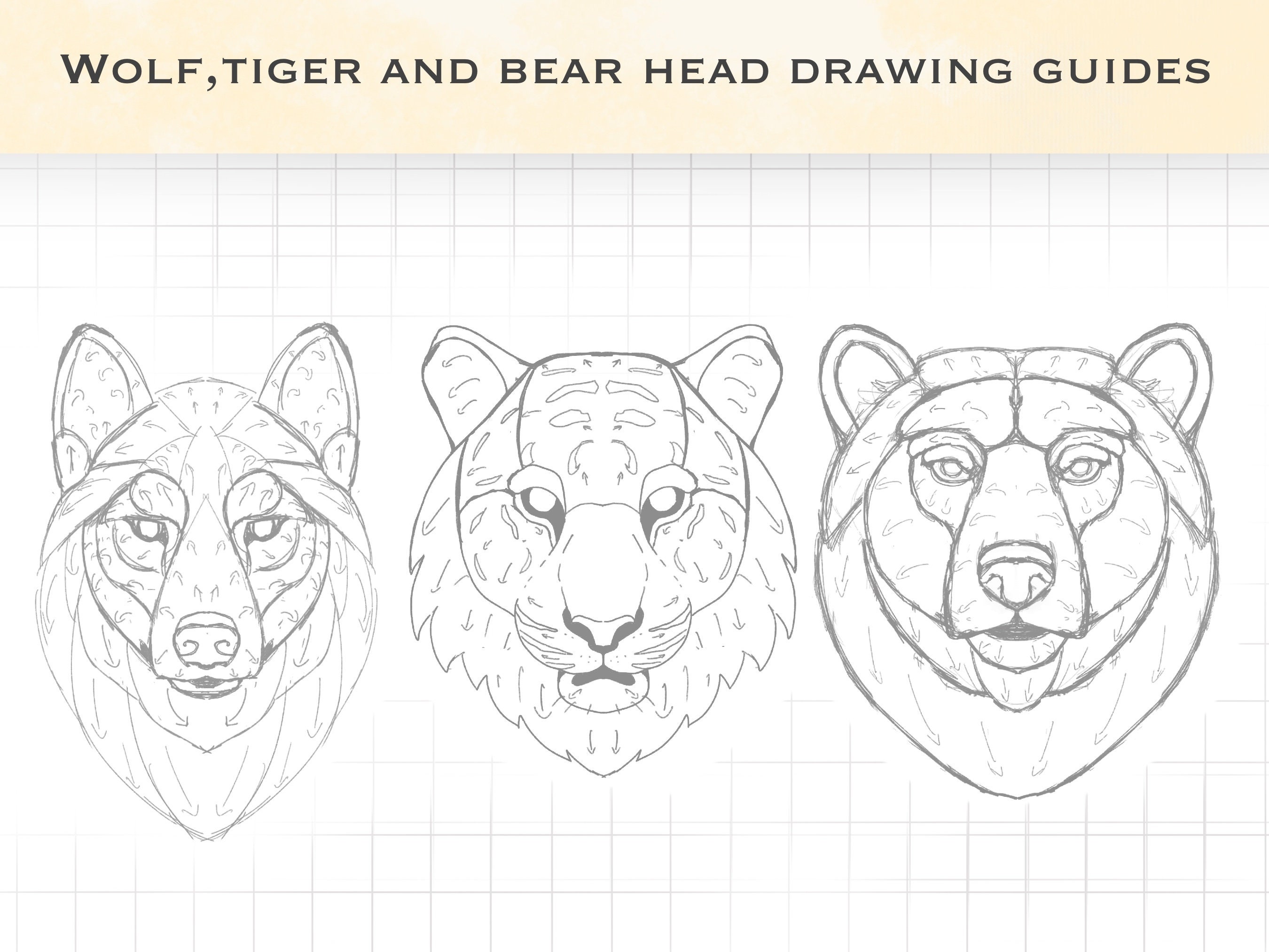 Animal Head Drawing Guide Stamps, Animal Brush, Wolf Stamps, Tiger ...