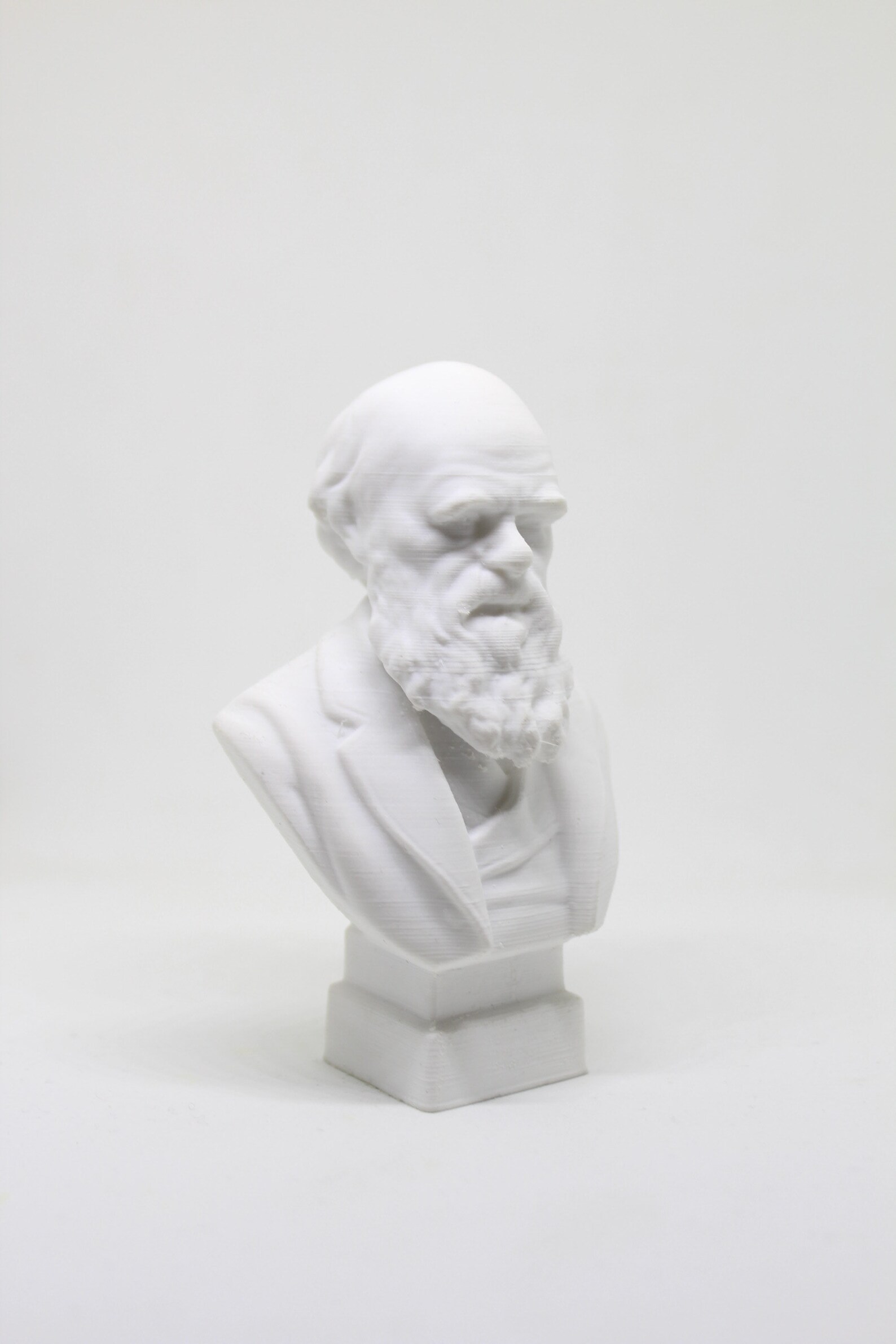 Charles Darwin decorative, Bust, Home, Decor, Handmade Gift, Darwin ...