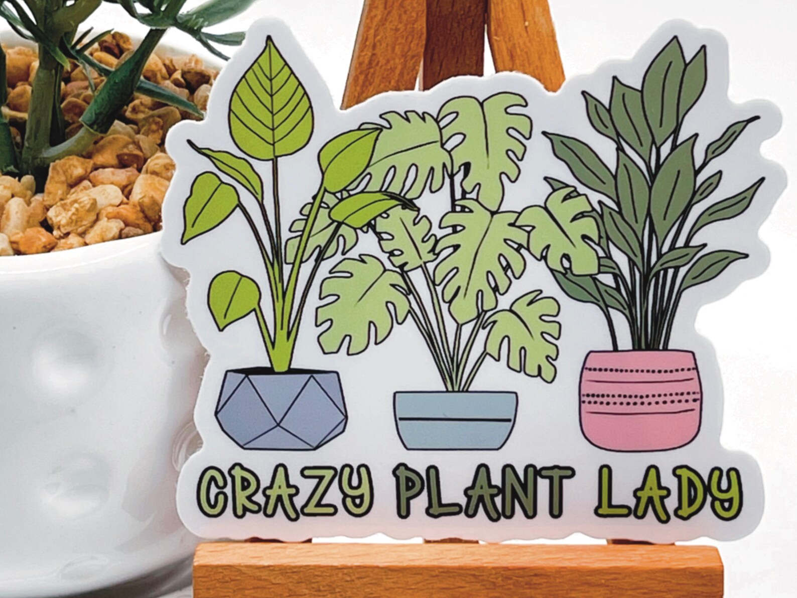 Crazy Plant Lady Sticker, Cute Botanical Sticker, Funny Plant Lover ...