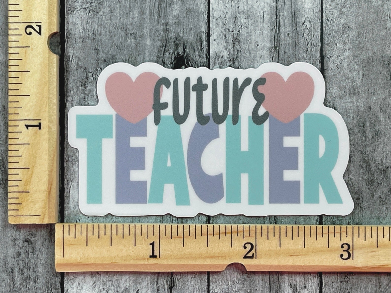 Future Teacher Sticker, ECE Decal, Cute Teacher Appreciation Gift ...