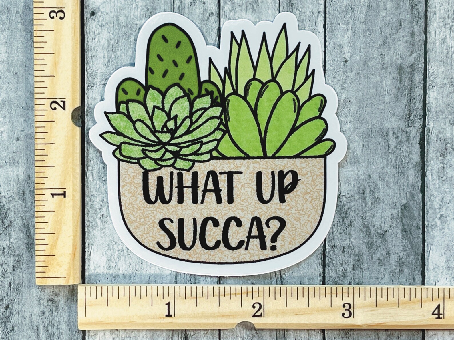 What up Succa Sticker Succulent Sticker Cactus Sticker - Etsy
