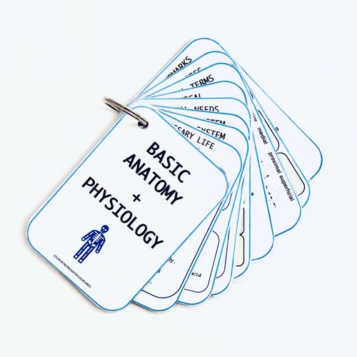 Student Nurse Anatomy And Physiology Flashcards Photo Quality Etsy Student Nurse Anatomy And Physiology Flashcards Photo Quality Etsy
