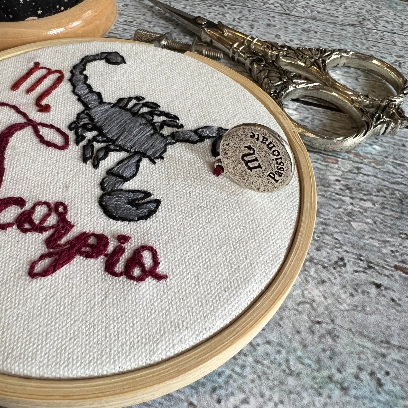 Scorpio Hand Embroidery Hoop Art, 4", Astrology Zodiac Art - Etsy