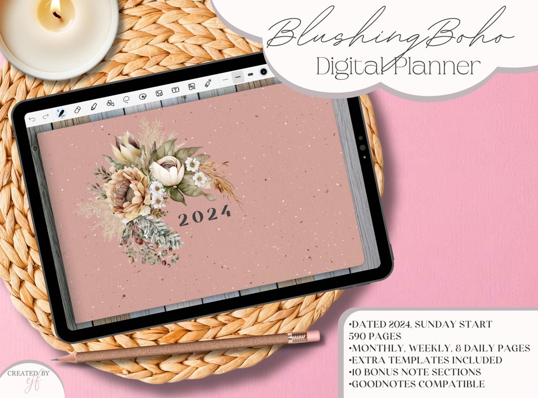 2024 Dated Digital Planner Sunday Start Blushing Boho Daily Weekly ...