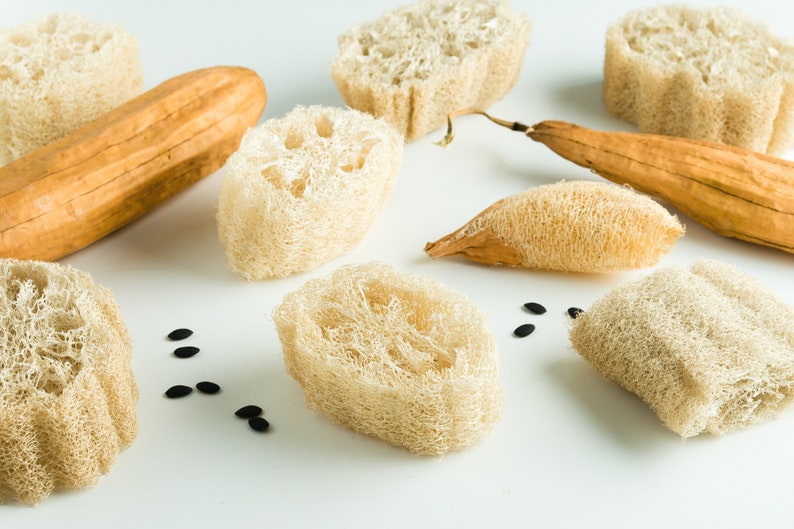 LARGE Natural Loofah Eco Friendly. Plant Based Plastic - Etsy UK