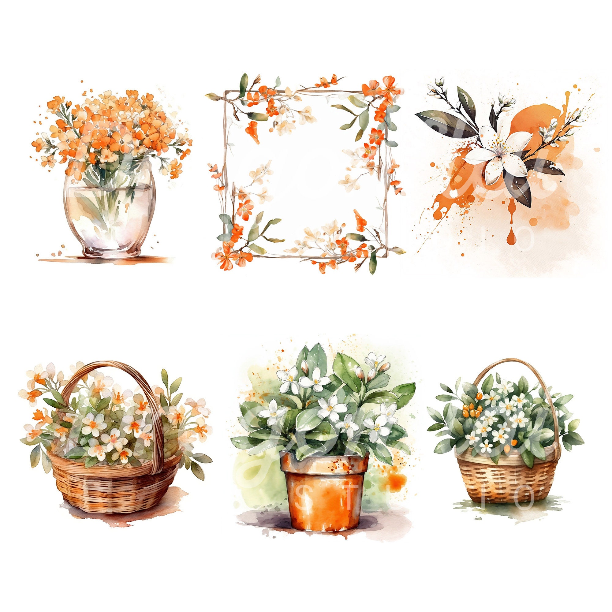 16 Watercolor Orange Clipart, PNG, Print Ready, Watercolor Flowers ...