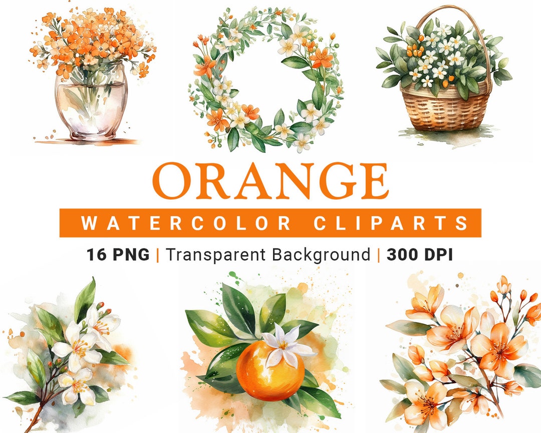 16 Watercolor Orange Clipart, PNG, Print Ready, Watercolor Flowers ...