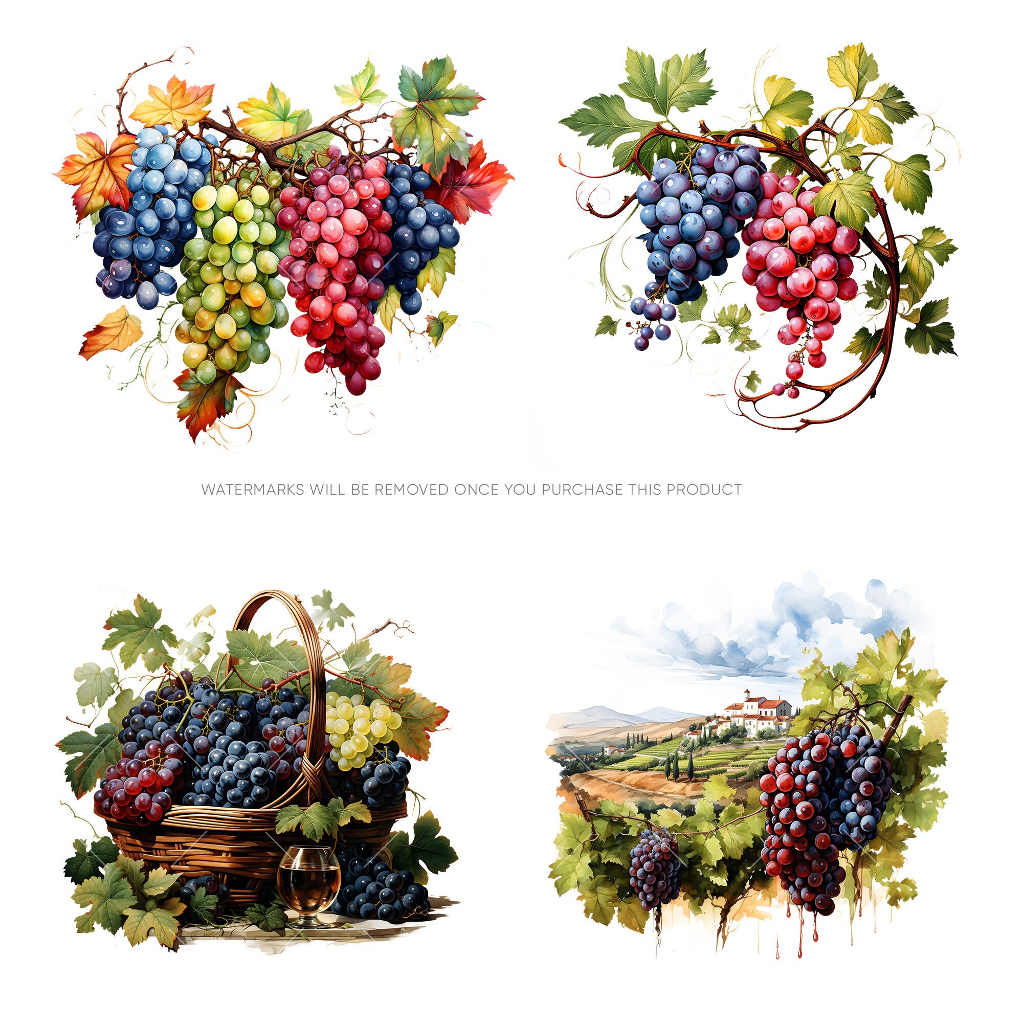 18 Watercolor Wine Clipart | Transparent PNG | Ready to Print ...