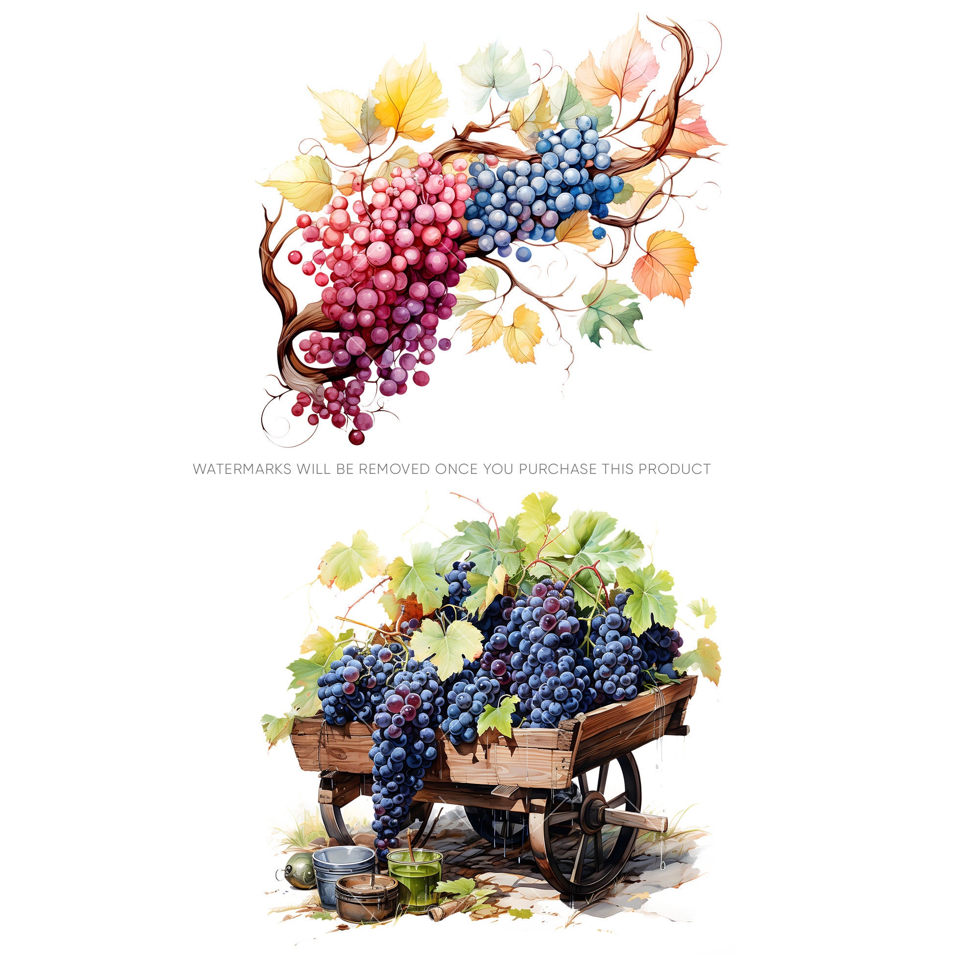 18 Watercolor Wine Clipart | Transparent PNG | Ready to Print ...