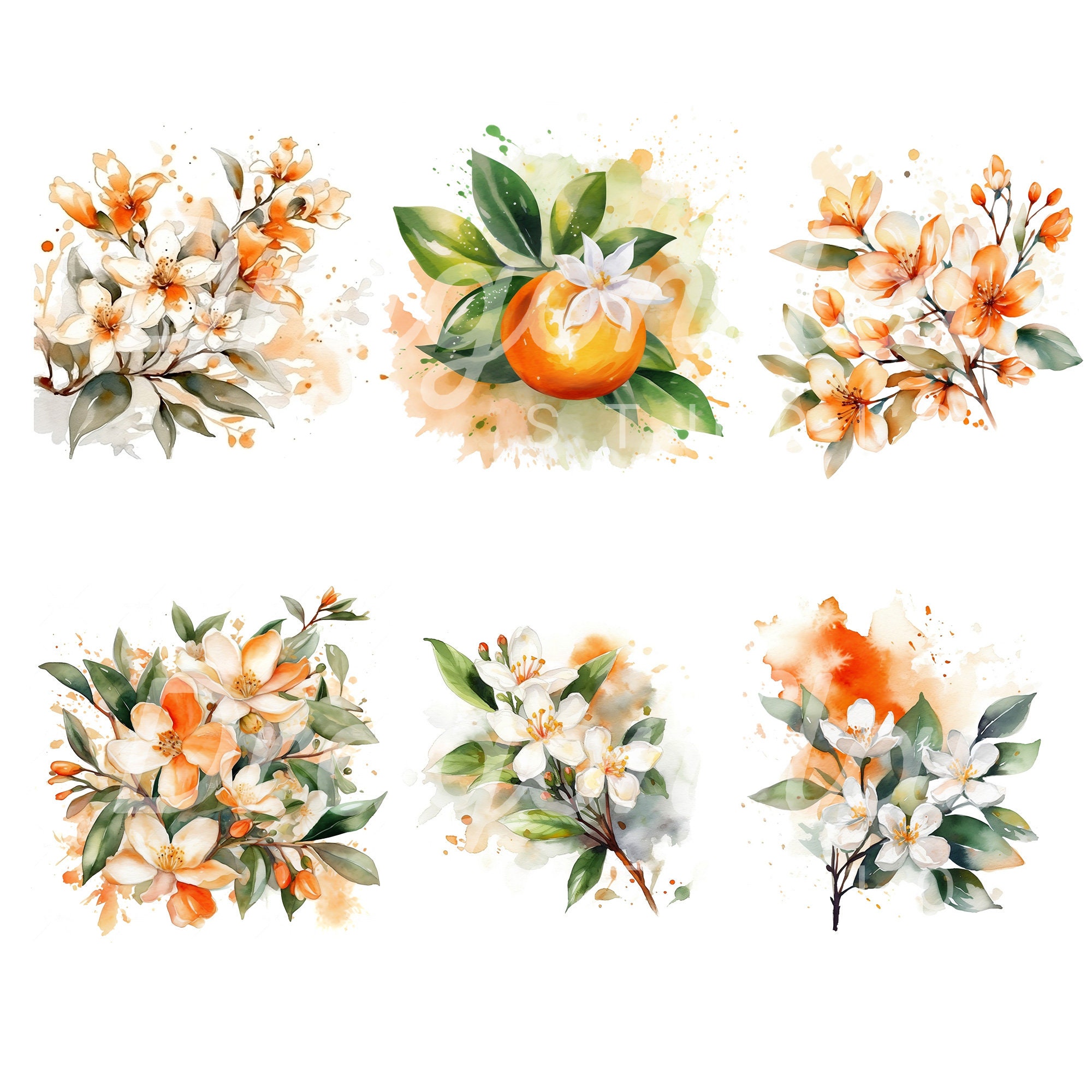 16 Watercolor Orange Clipart, PNG, Print Ready, Watercolor Flowers ...