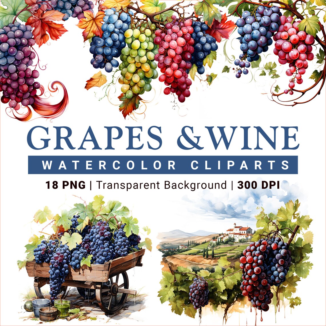 18 Watercolor Wine Clipart | Transparent PNG | Ready to Print ...