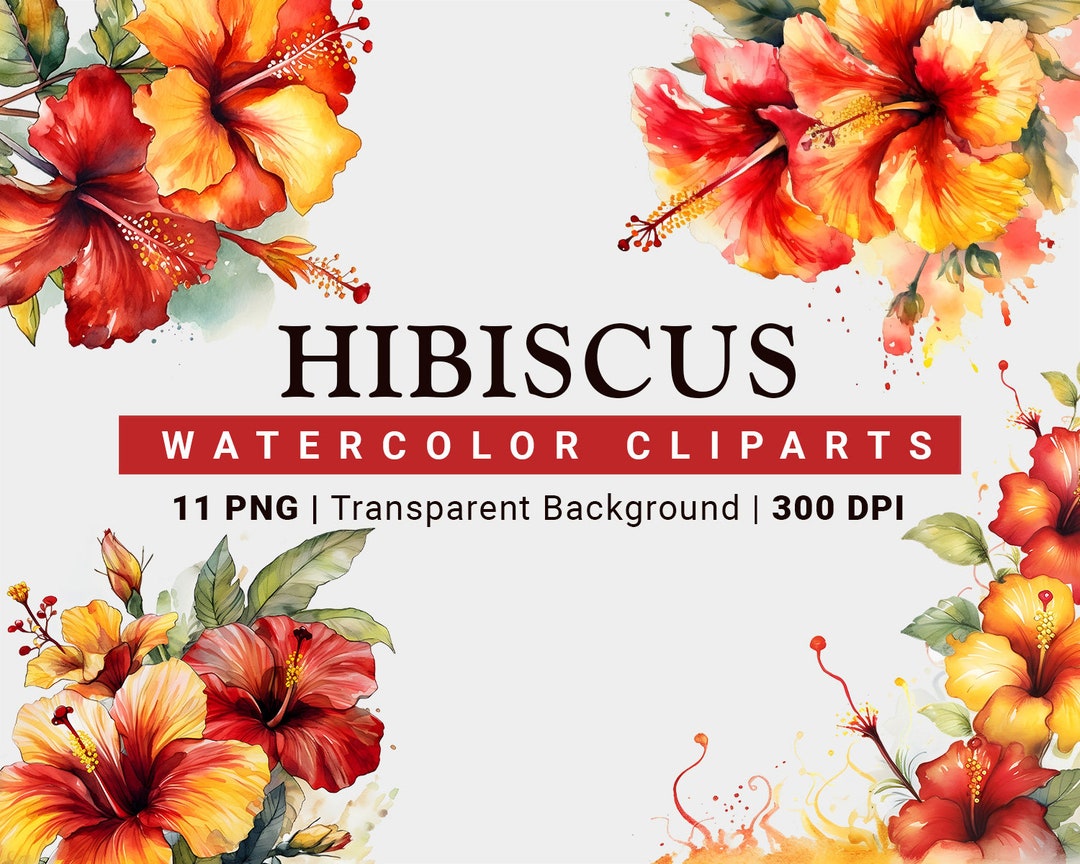 11 Watercolor Hibiscus Clipart, PNG, Print Ready, Watercolor Flowers ...