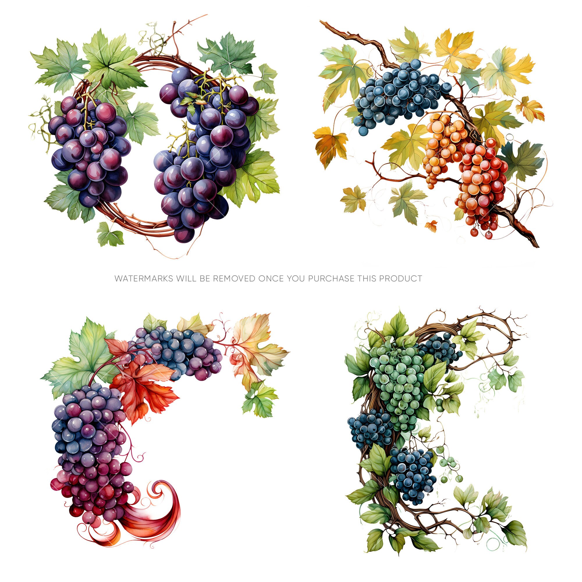 18 Watercolor Wine Clipart | Transparent PNG | Ready to Print ...