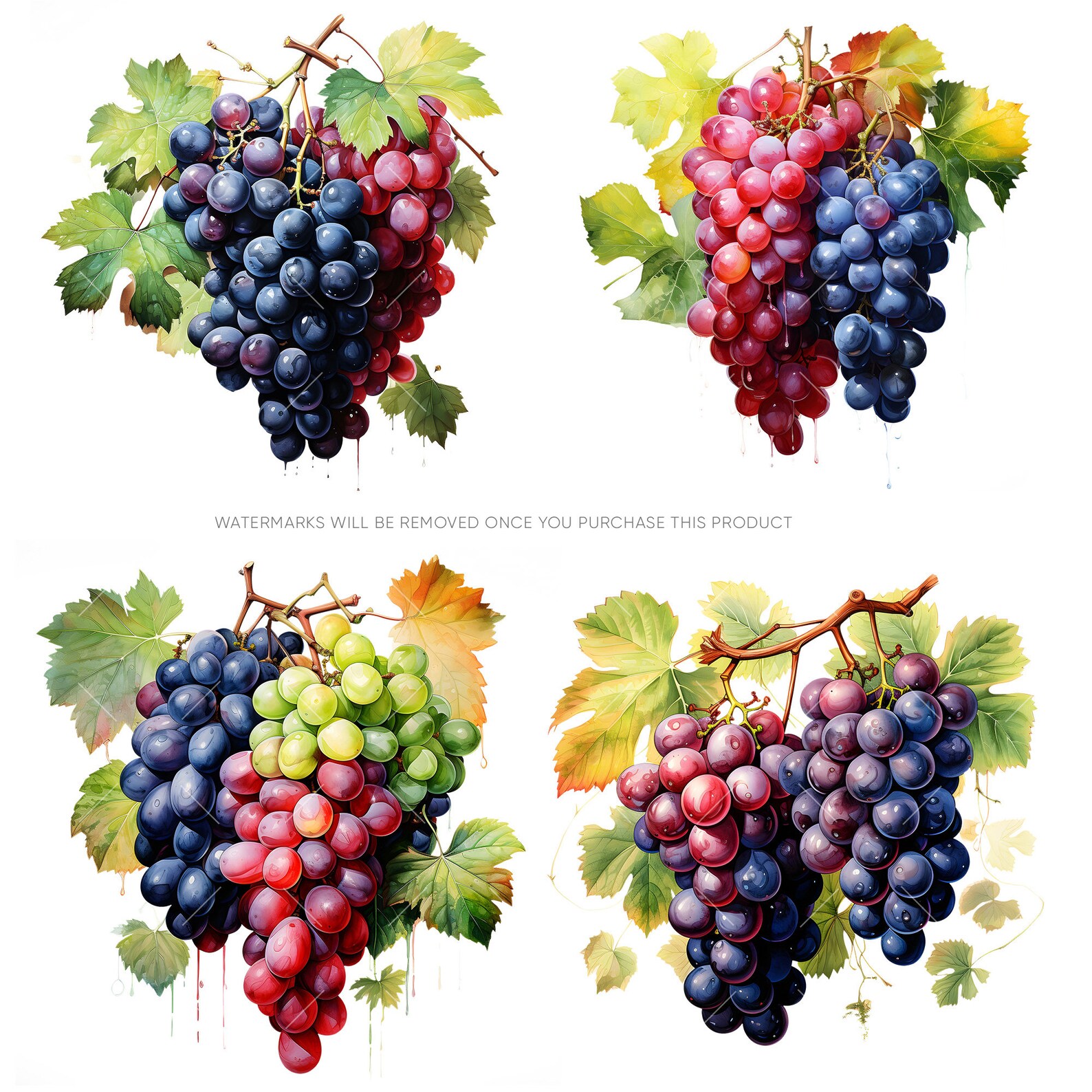 18 Watercolor Wine Clipart | Transparent PNG | Ready to Print ...