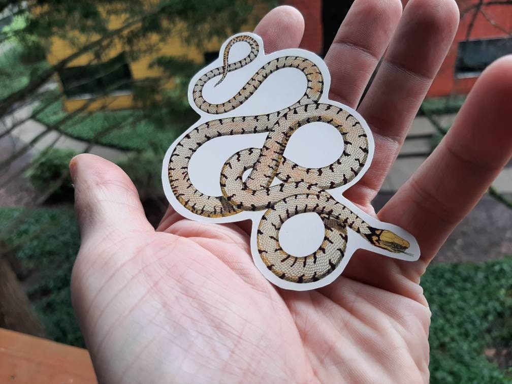 Ilustrated Snake Sticker Pack - Etsy