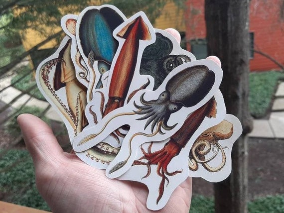 Octopus & Squid Sticker Pack | Etsy