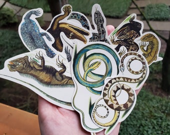 Boop a Snoot Ll Sticker Pack - Etsy UK