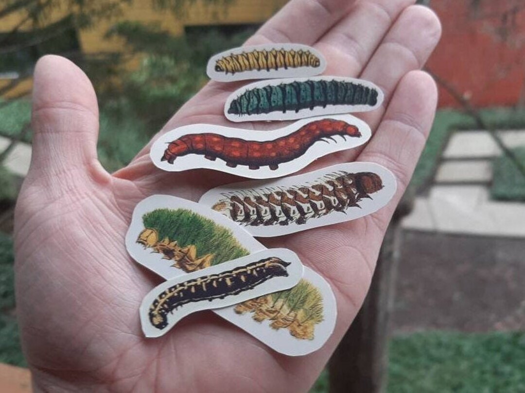 Caterpillar Sticker Pack - Etsy