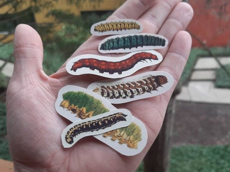 Caterpillar Sticker Pack - Etsy
