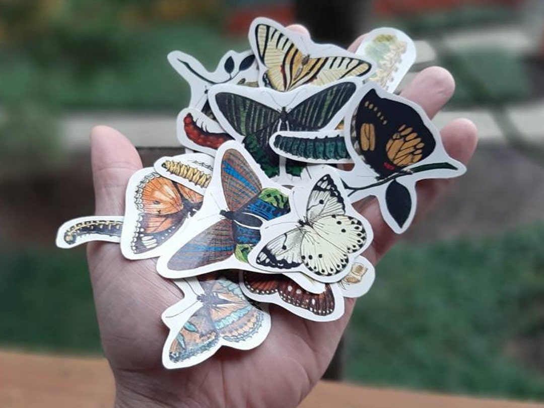 Butterfly & Caterpillar Sticker Pack - Etsy