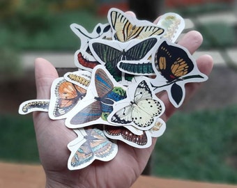 Caterpillar Sticker Pack - Etsy