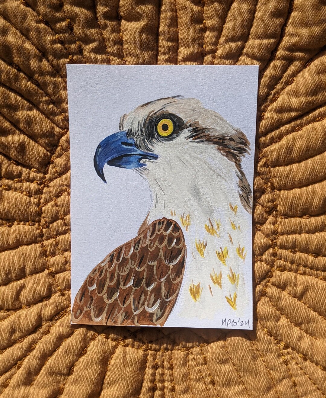 Miniature Portrait: Osprey - Etsy