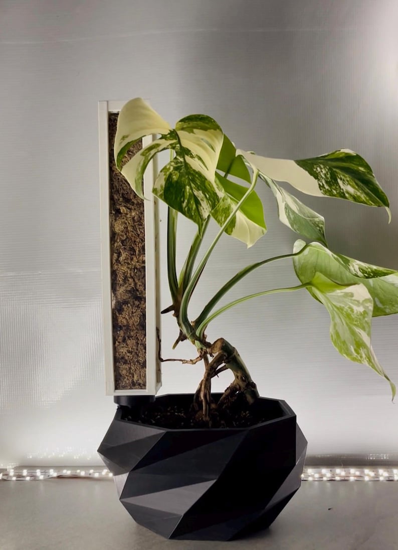 11” Root View Stackable Moss Pole 3D Printed - Etsy