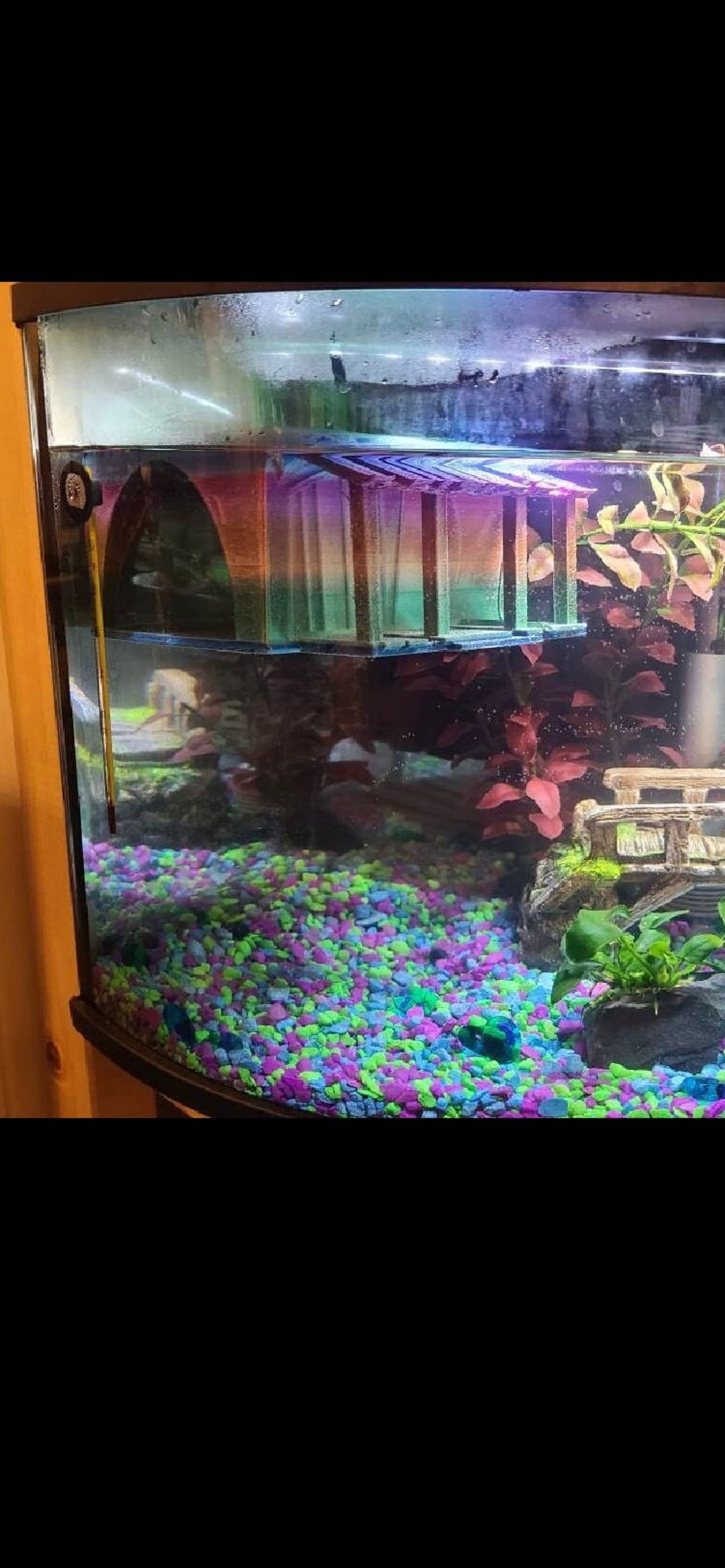 Fish Hideaway Aquarium Decor Beta Trailer - Etsy