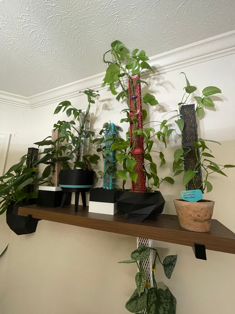 Root View Stackable Moss Pole 3D Printed - Etsy