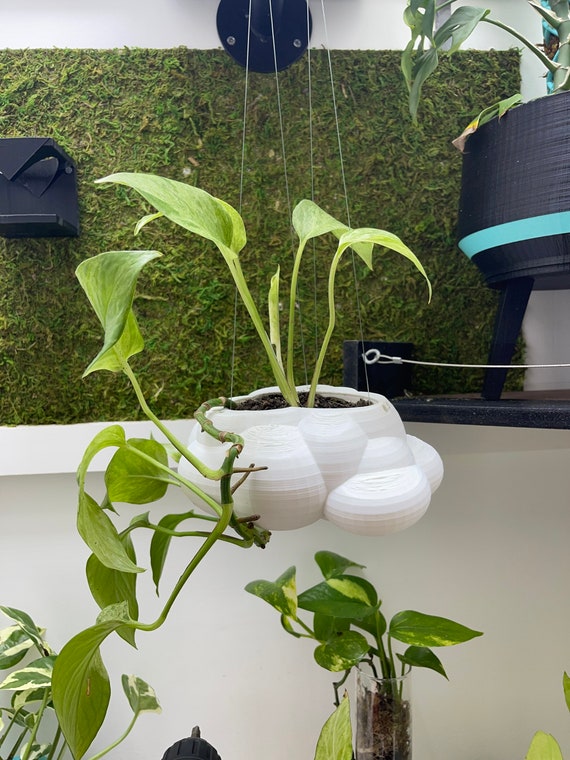 Hanging Cloud Planter - Etsy