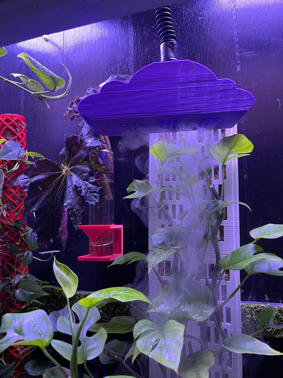 Rain Cloud Humidifier Attachment Plant Accessory Terrarium - Etsy
