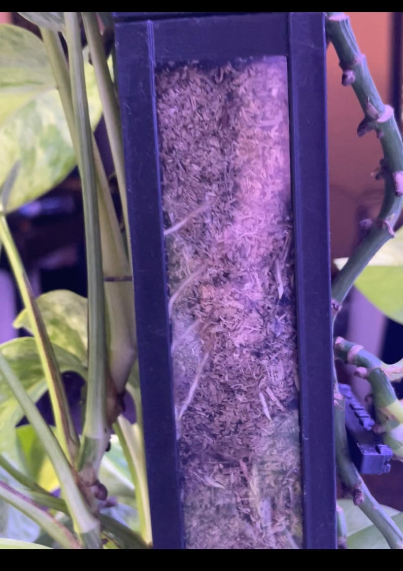 11” Root View Stackable Moss Pole 3D Printed - Etsy