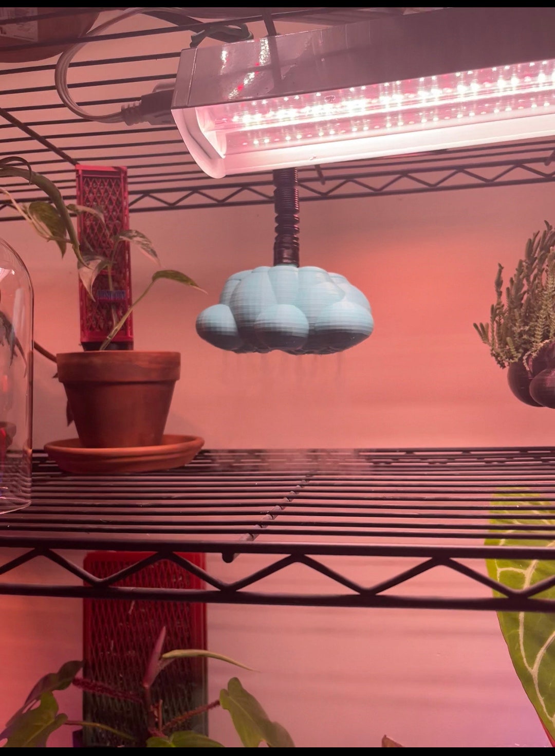 Rain Cloud Humidifier Attachment Plant Accessory Terrarium - Etsy