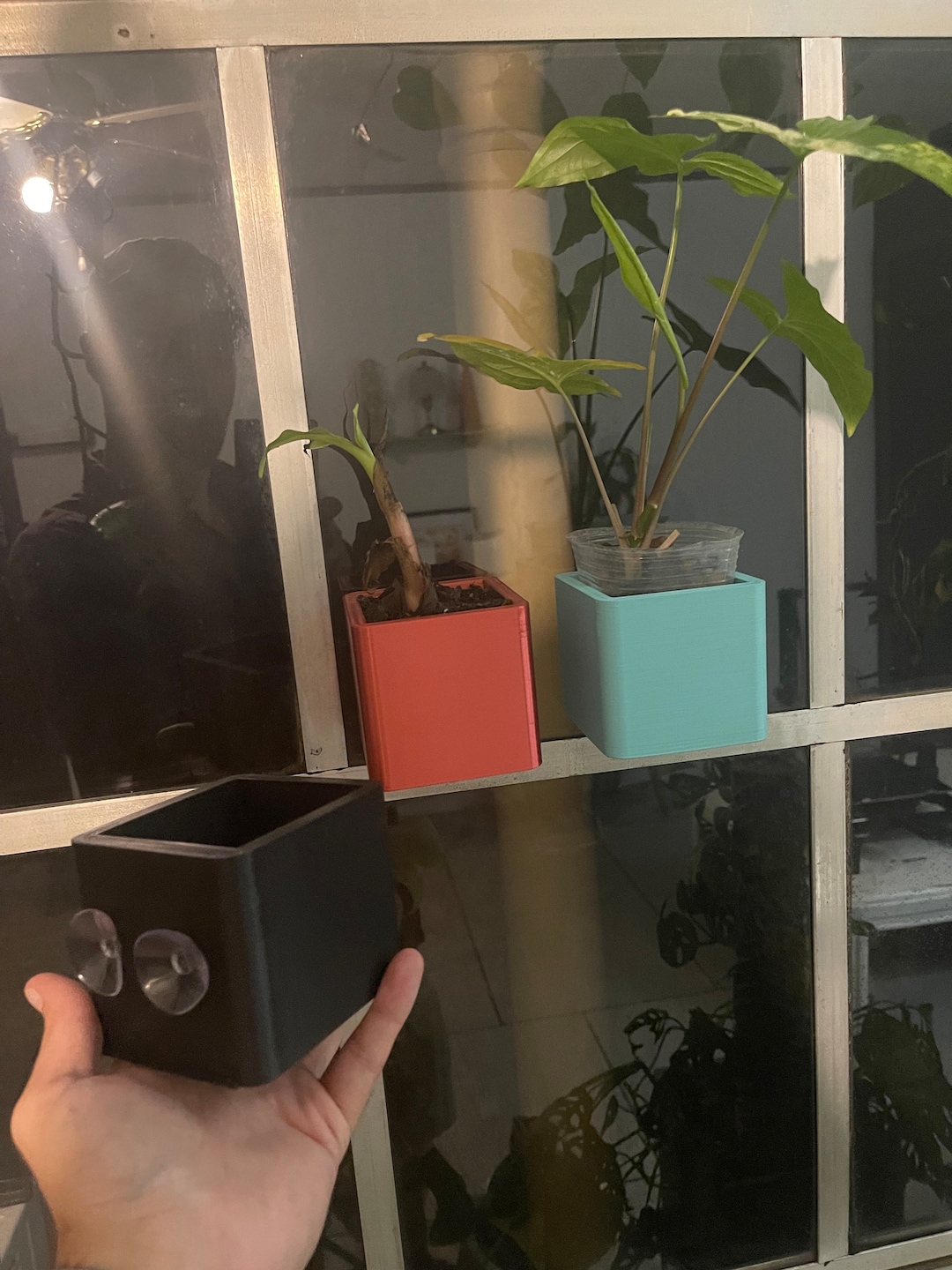 Suction Cup Window Planter - Etsy