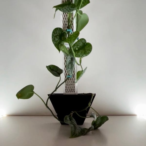 Moss Pole 3d Print - Etsy