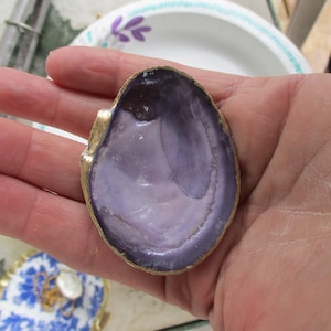 Purple Clam (15) Shells, Purple Varnish Clam, 1.5 to 2.5" Bulk Clam ...