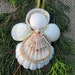 Shell Angel Ornament - Etsy