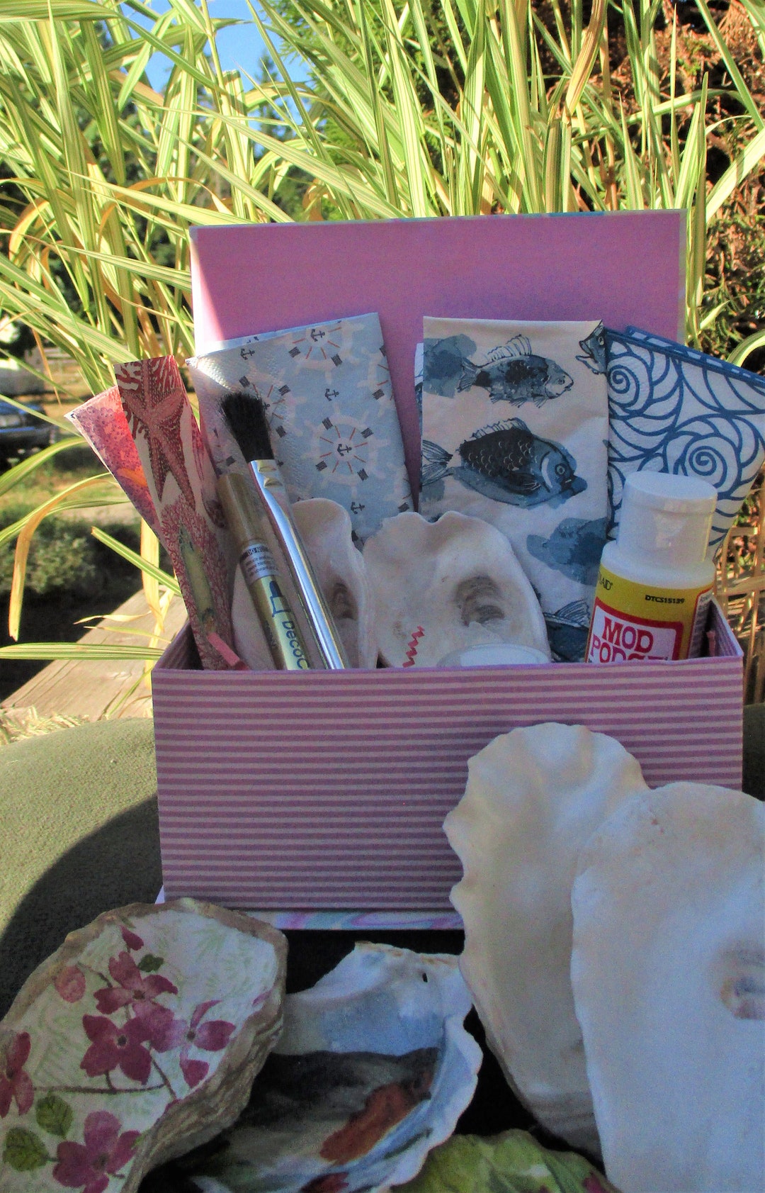 Craft DIY Kit, 4 Shells, Decoupage Your Own Shells, Coastal Theme Kit ...