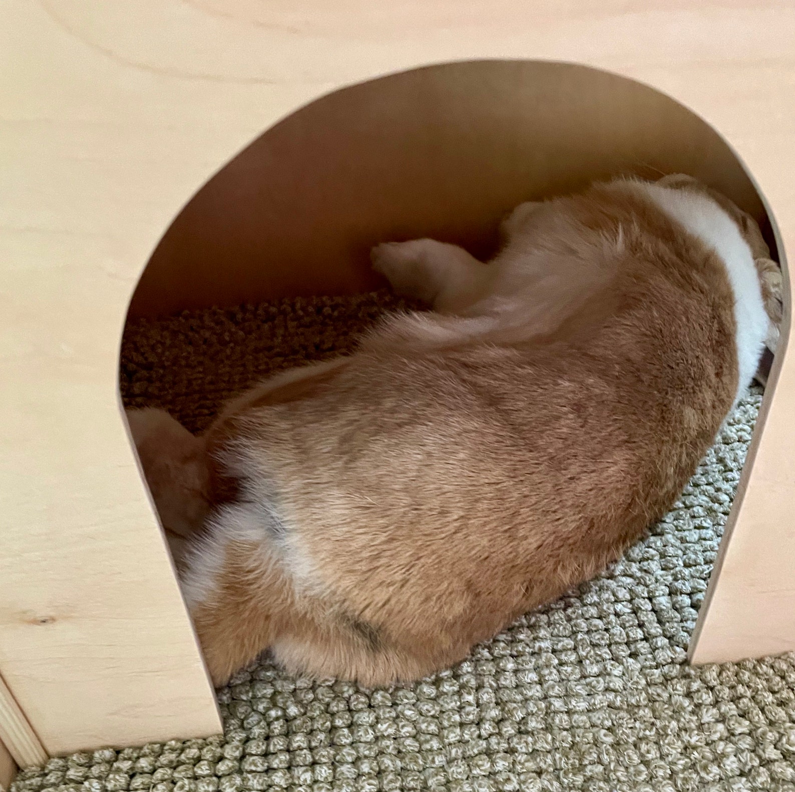 Bunny Hideaway Castle and Fort for Rabbits Guinea Pigs and | Etsy UK