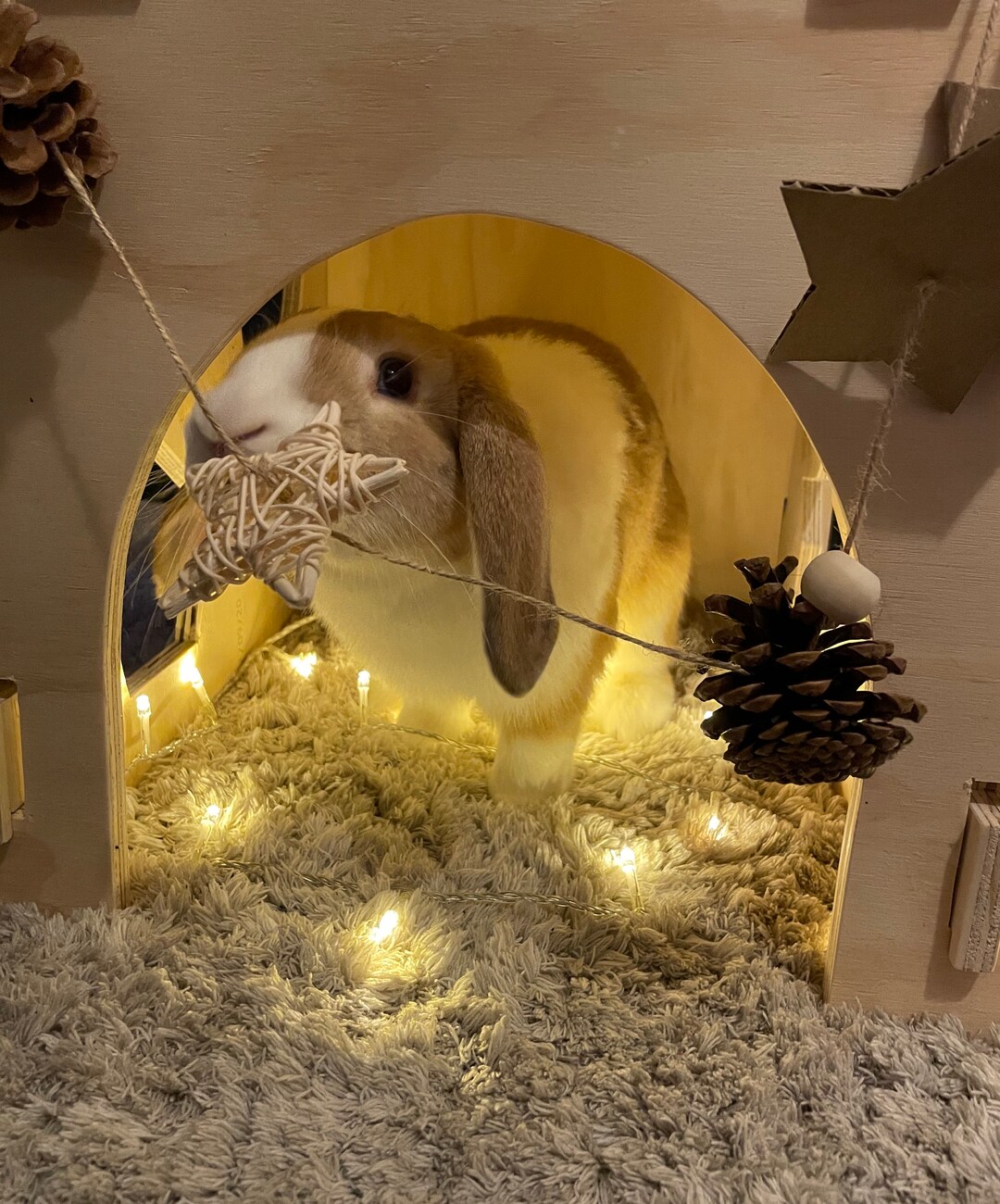Bunny Hideaway Chewing Garland rabbit and Hamsters Toy With Assorted ...