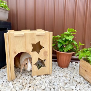 Bunny Hideaway - Castle and Fort for Rabbits, Guinea Pigs and Small ...