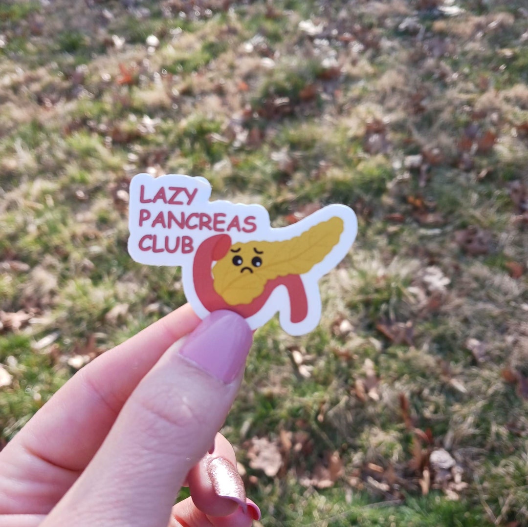 Lazy Pancreas Sticker, Waterbottle Sticker, Hydroflask Sticker, Laptop ...