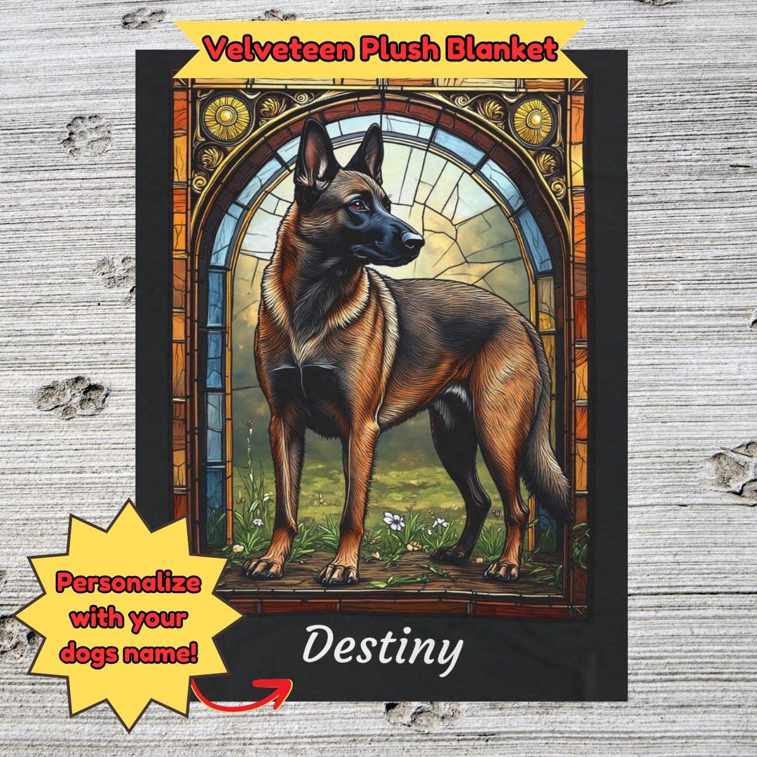 Belgian Malinois fawn Sable Personalized Velveteen Plush Blanket, Pet ...