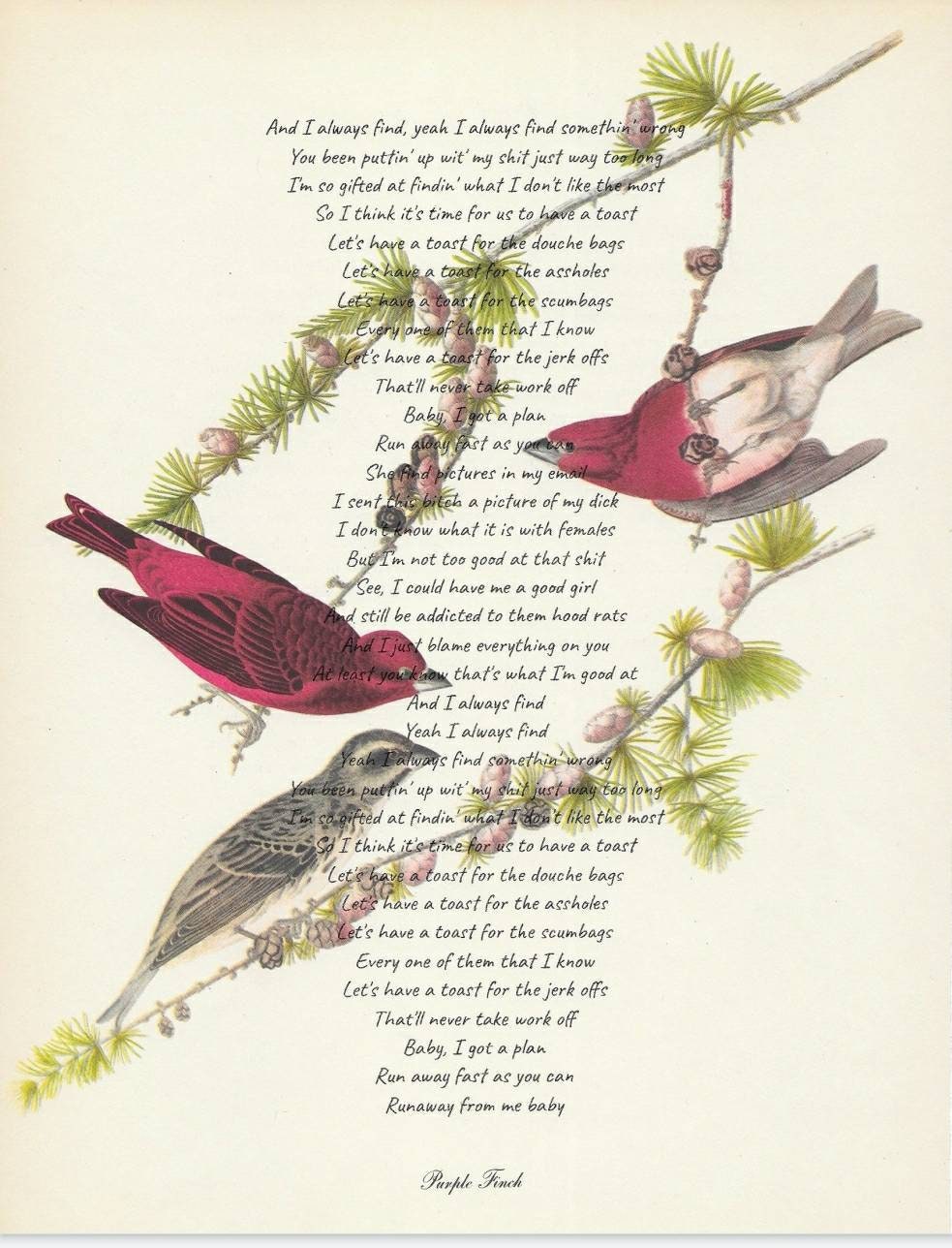 Kanye West Runaway Lyrics on Vintage Audubon Society Bird Print - Etsy