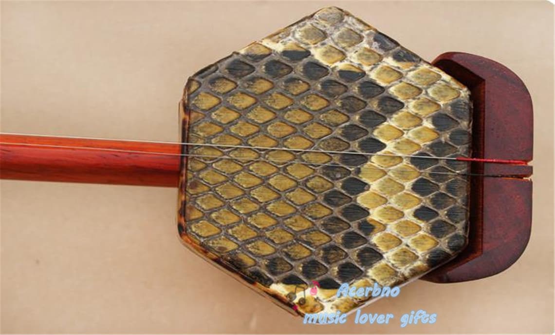 Chinese 2-string Violin Fiddle Musical Instrument Two | Etsy