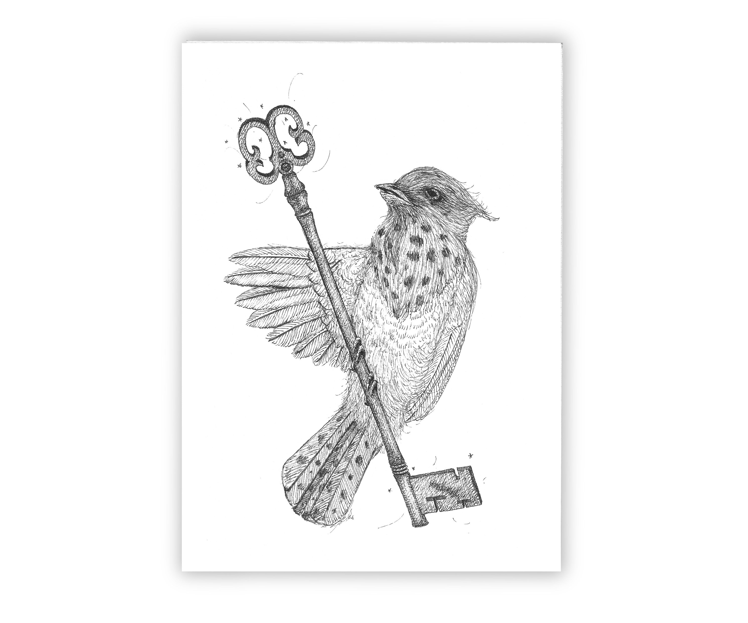 Freedom Drawing - Etsy