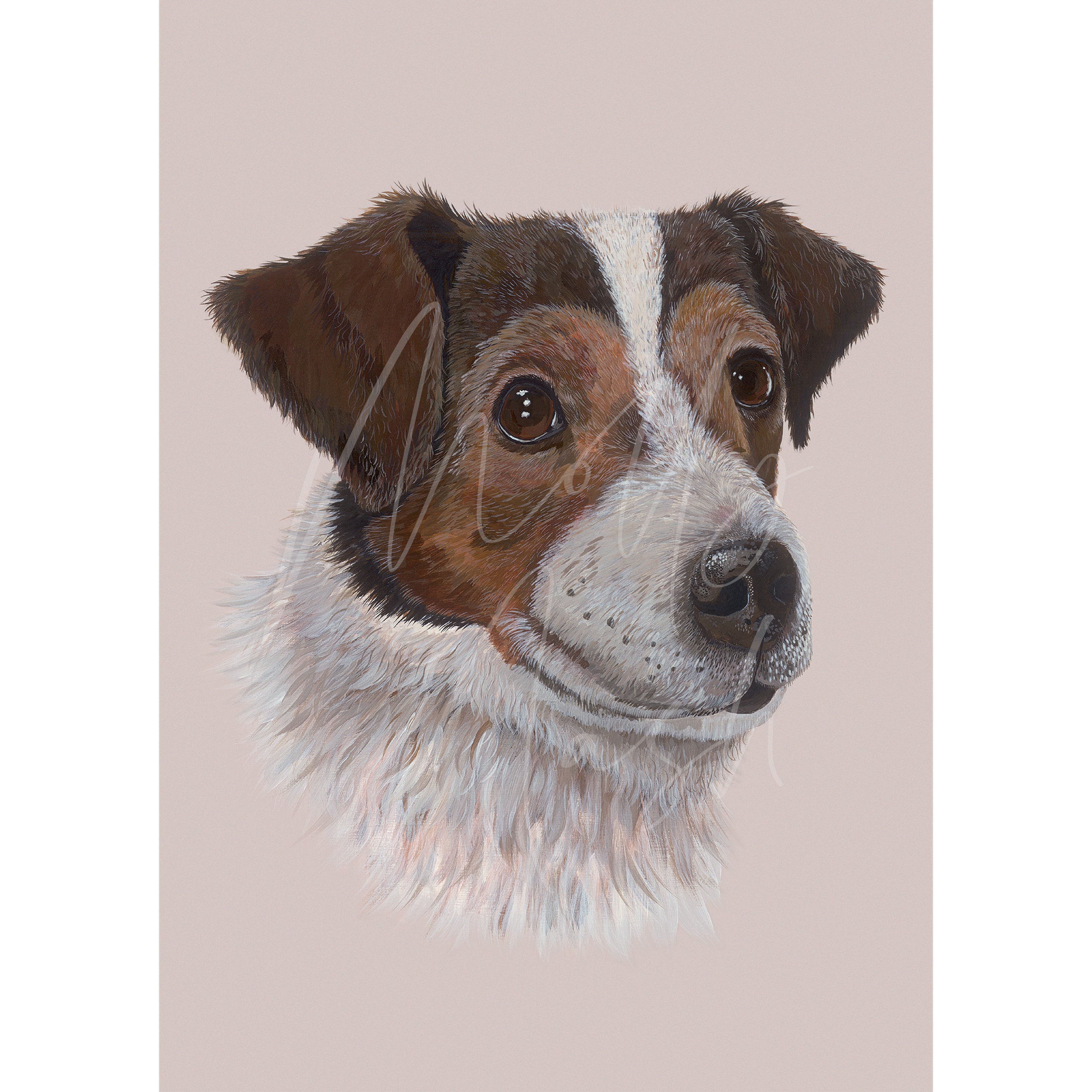 Jack Russell Terrier Pintura / Dog Artwork / Jack Russell Print - Etsy ...