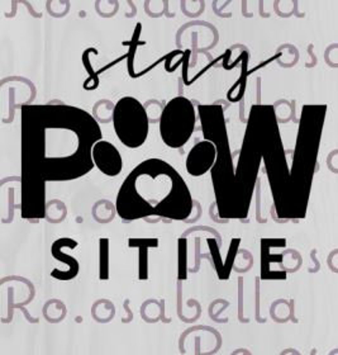 Stay Pawsitive PNG Cut File -BONUS FREE Cut File-compatible With Cricut ...
